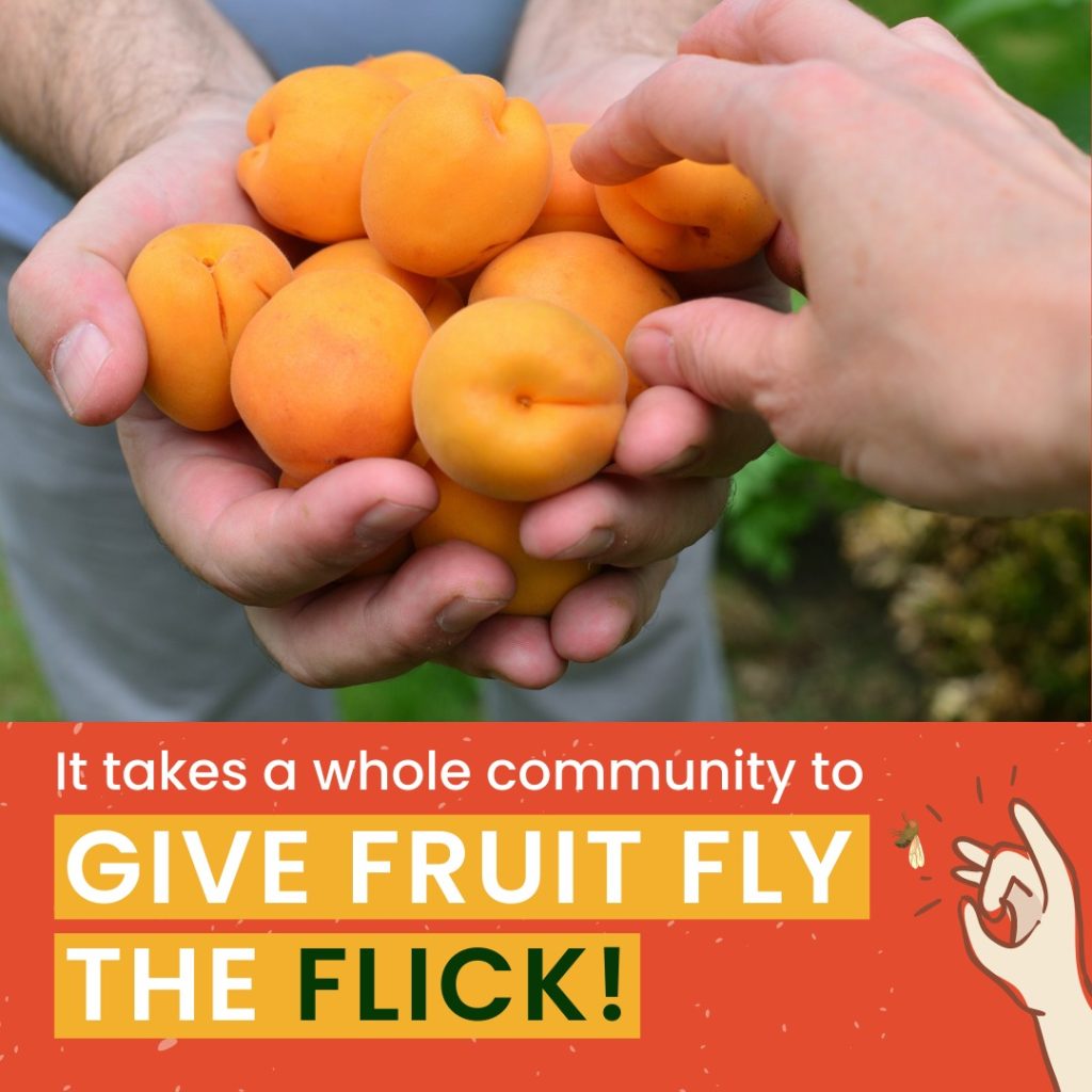 District Fruit Fly Project - Lions District 201 V6